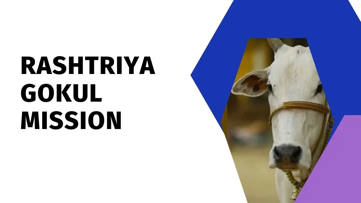 कैबिनेट ने 3,400 करोड़ रुपये के आवंटन के साथ संशोधित राष्ट्रीय गोकुल मिशन को मंजूरी दी